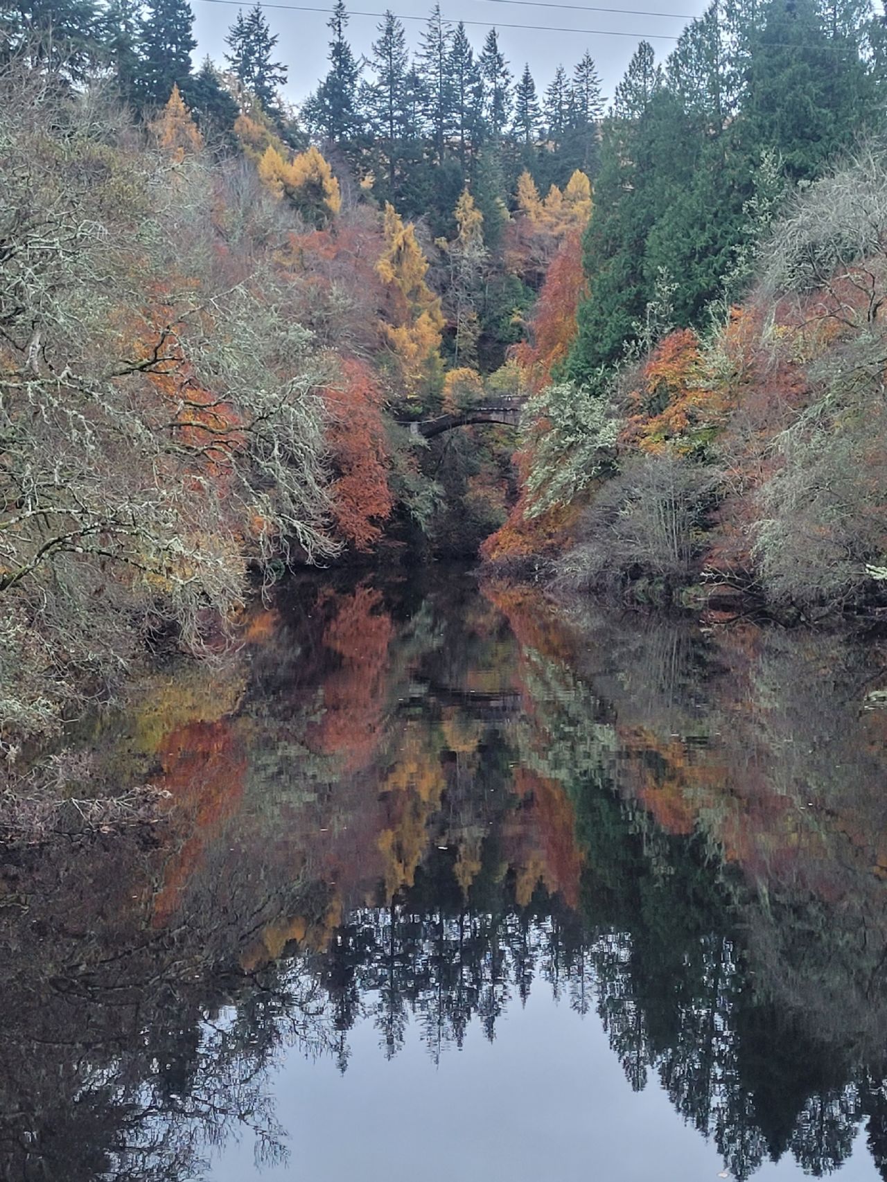 Photo Gallery | Stratherrick & Foyers Community Trust