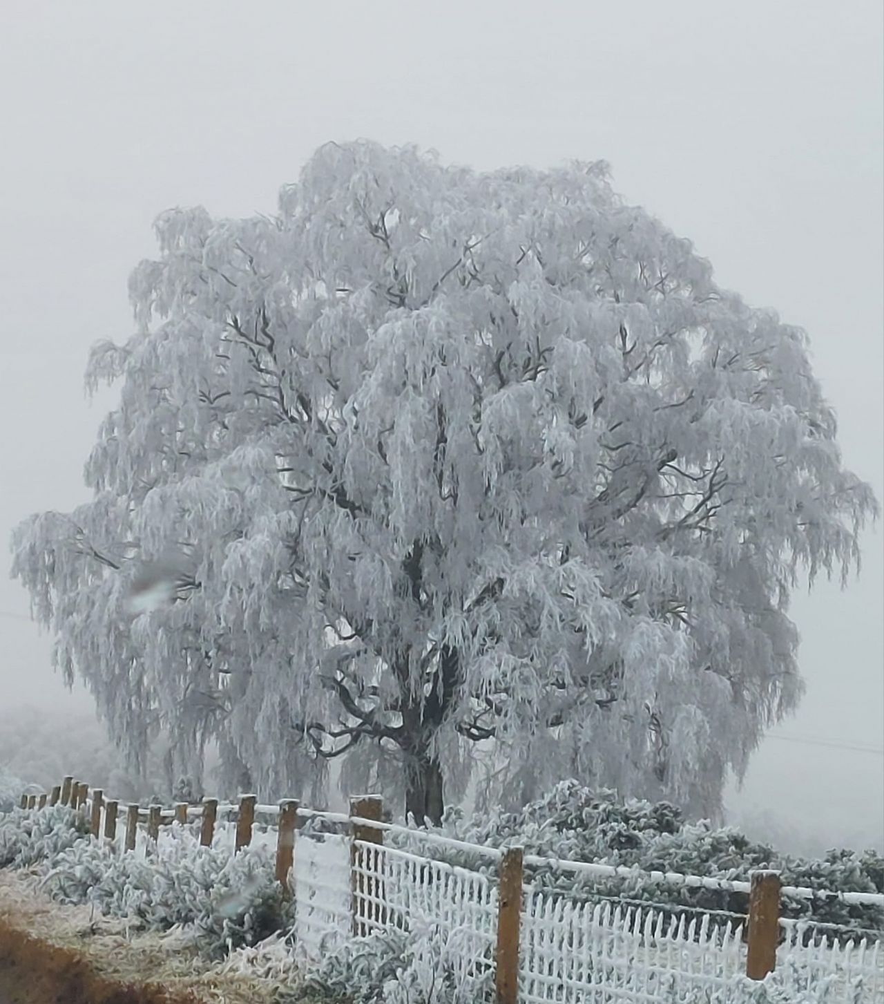 Photo Gallery | Stratherrick & Foyers Community Trust