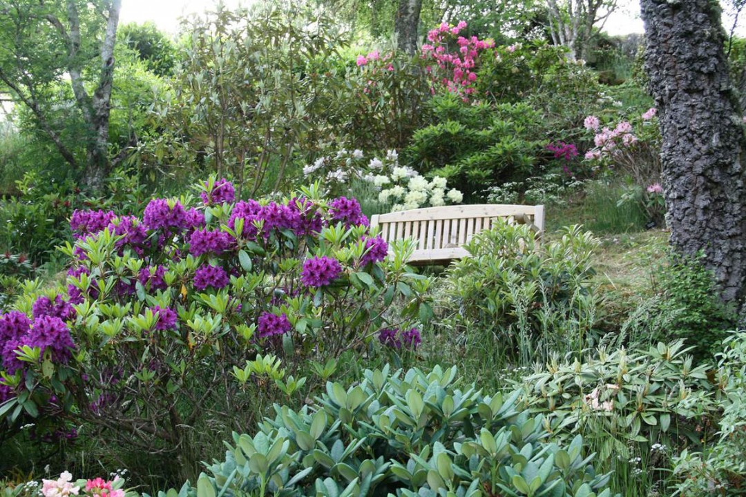 Gorthleck House Gardens Open Days | 15 May 2024 | Stratherrick & Foyers ...