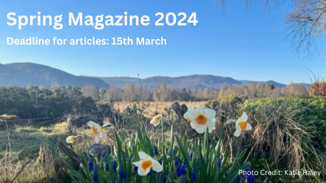 Deadline for Submissions - Spring Magazine | 15 March 2024 ...