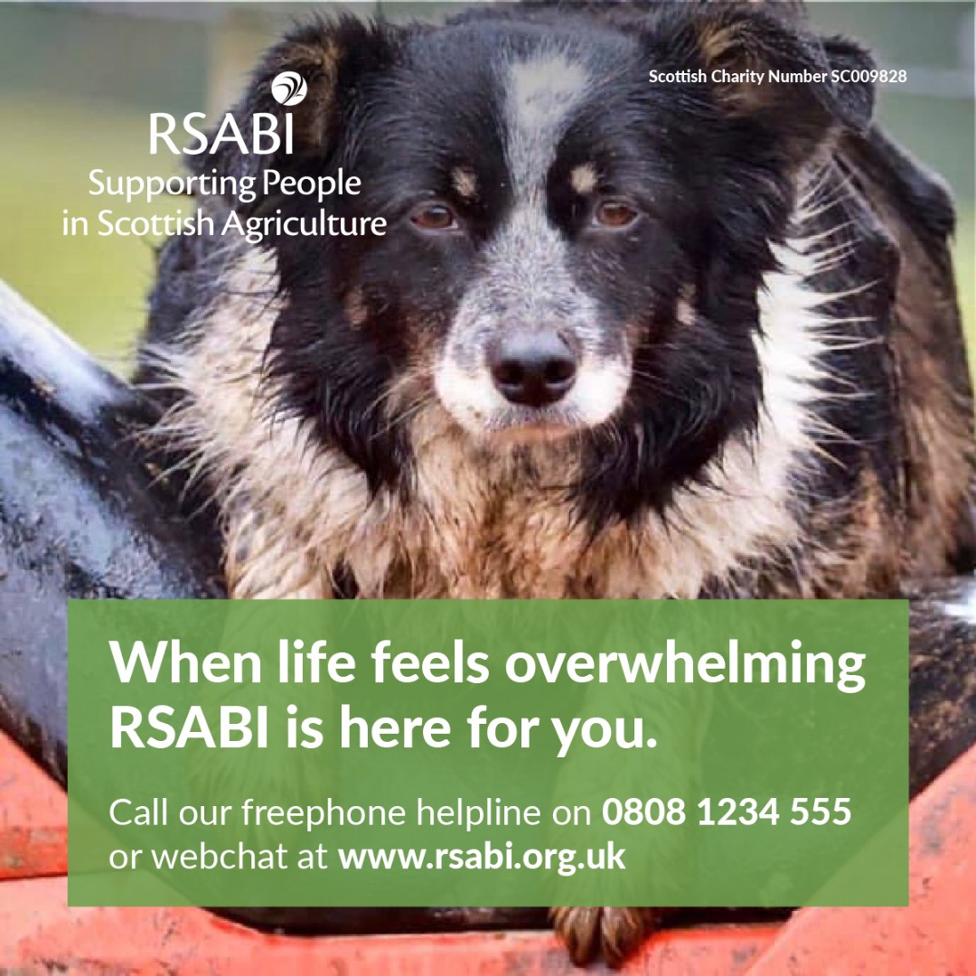 RSABI is chosen charity for silent auction | 29 May 2025 | Stratherrick ...
