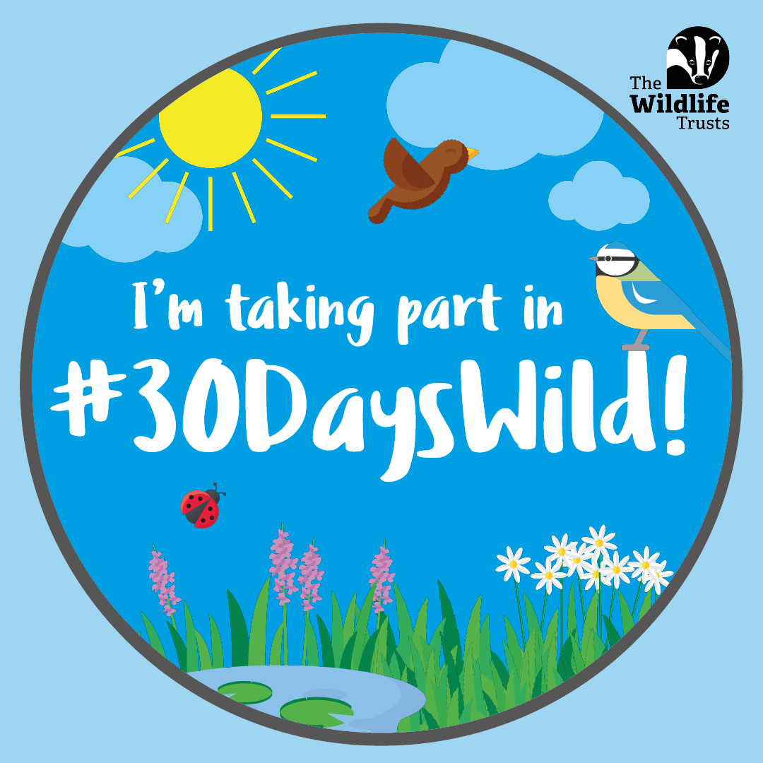 30 Days WILD! | 30 May 2023 | Stratherrick & Foyers Community Trust