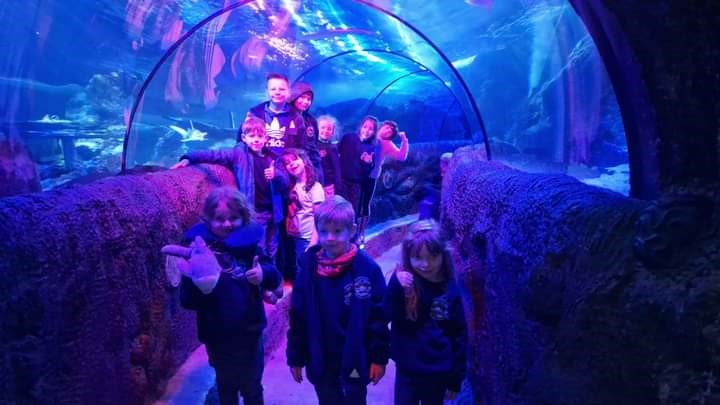 A SEA LIFE ADVENTURE! | 09 May 2023 | Stratherrick & Foyers Community Trust